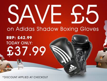 Bad Girl Boxing Gloves and Bad Girl Shin Guards Review