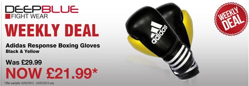 Bad Girl Boxing Gloves and Bad Girl Shin Guards Review
